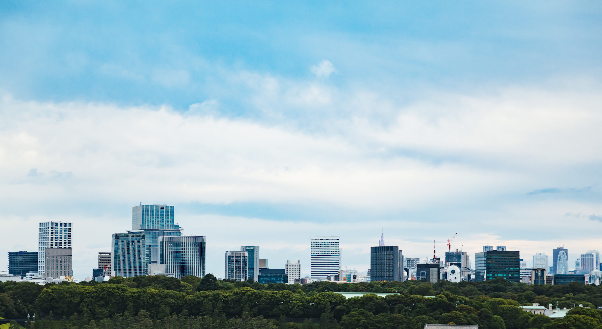 PRIVACY POLICY - OHIZUMI MFG (THAILAND) CO., LTD.